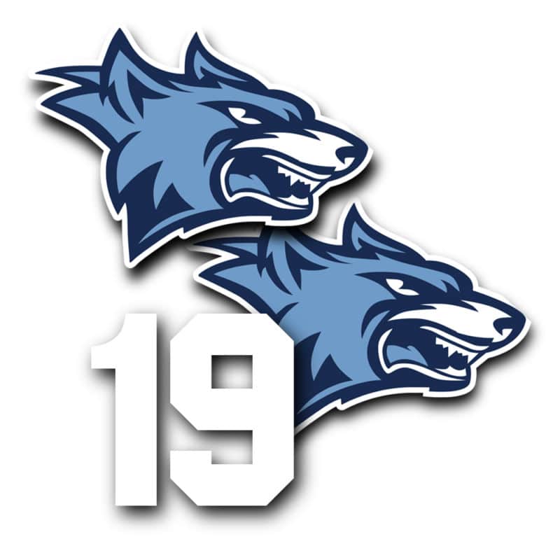 NEWSOME HELMET DECAL - Rinkside Tampa